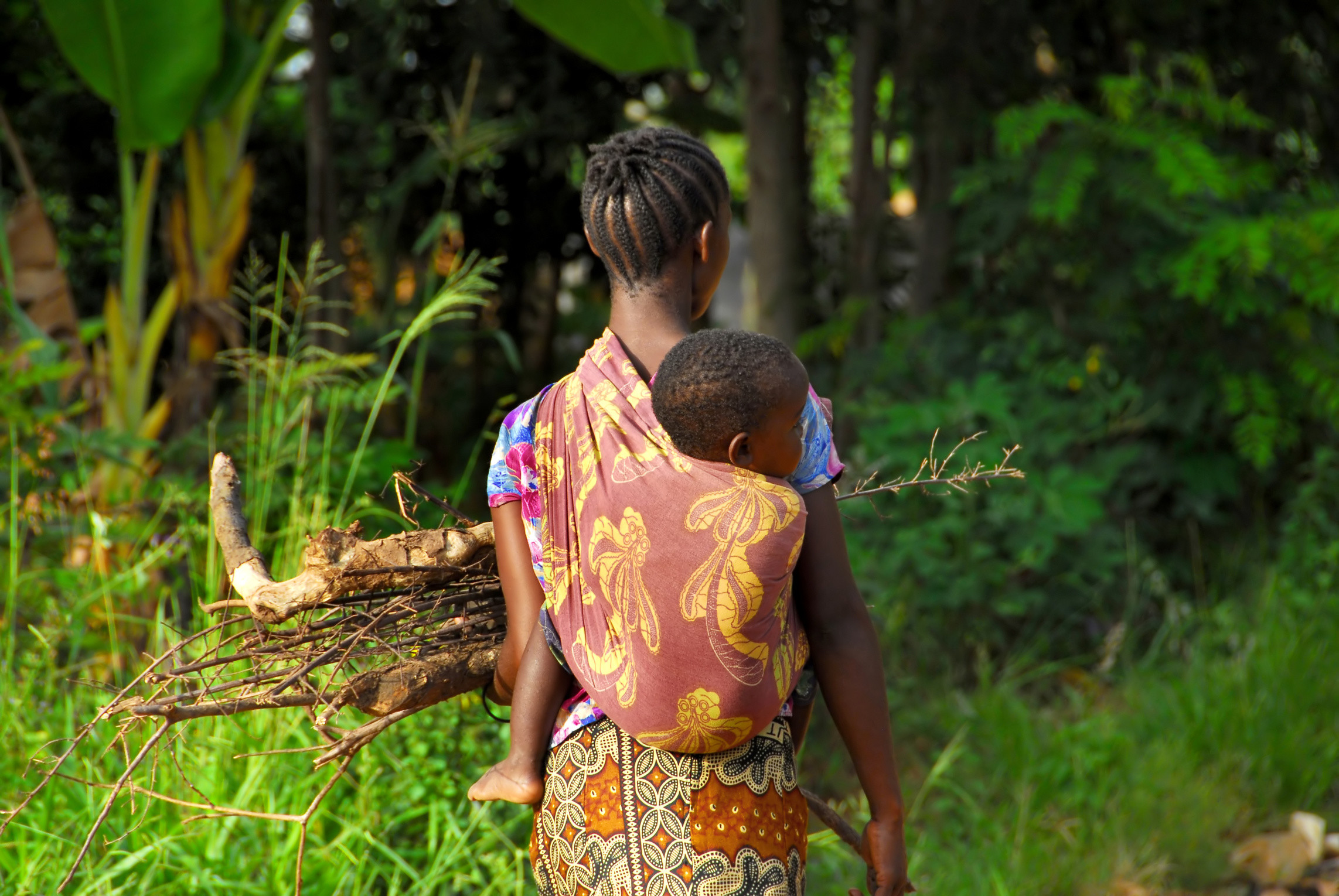 Comprehensive Resources for Global Evangelism Efforts